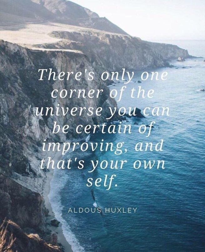 Your Life Is A Wonderful Journey Of Discovery - Connie Hertz