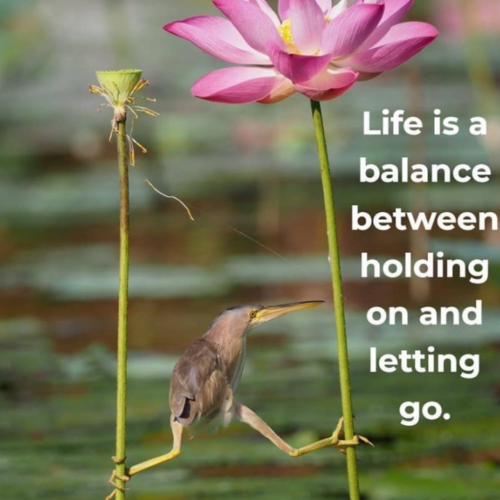 Thoughts and Mindset Archives - Connie Hertz