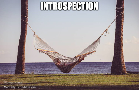 I'm Living In Lots Of Introspection Right Now - Connie Hertz