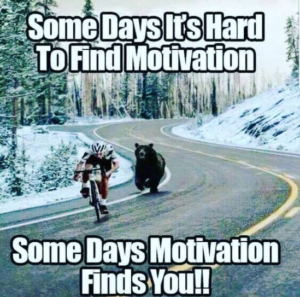 Motivation And Moving Into Action - Connie Hertz