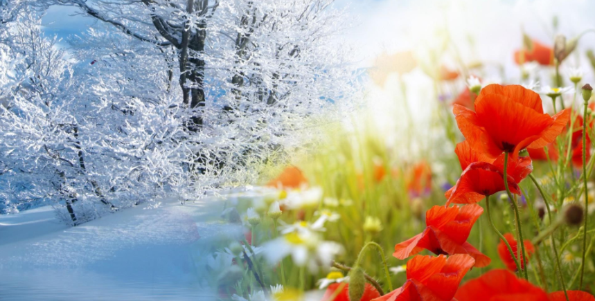 From Winter To Spring Here In The Upper Midwest - Connie Hertz